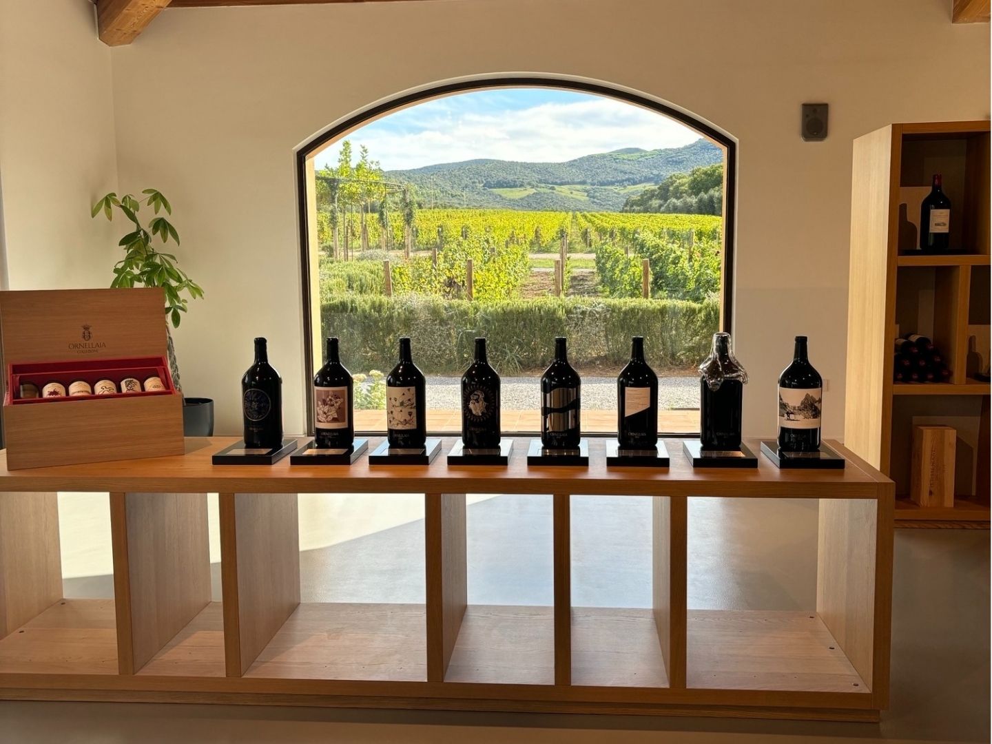 Ornellaia, En Juvel i Toscanas Vinvärld - Vigneron.se